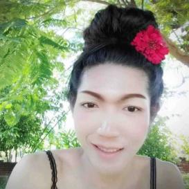 Lom Sak Lady Boys & TS Escorts in Lom Sak, TH